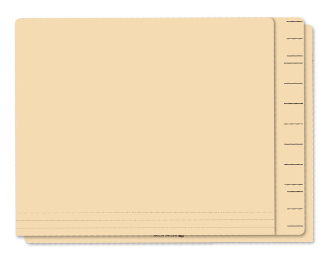 [CLEARANCE] FILE RIGHT Plain Service File Folder